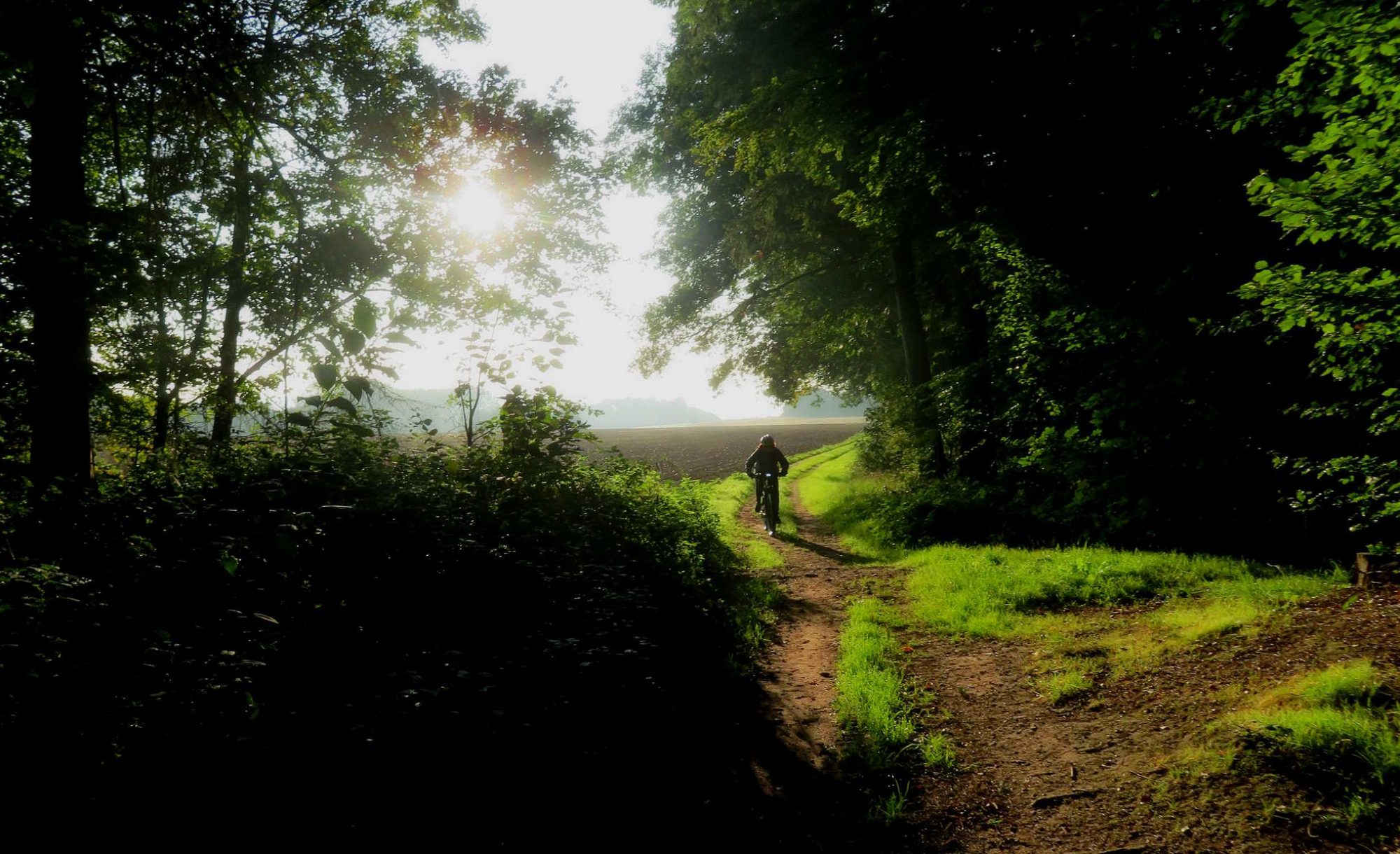 Schwül und stickig | Mountainbiken ist mehr